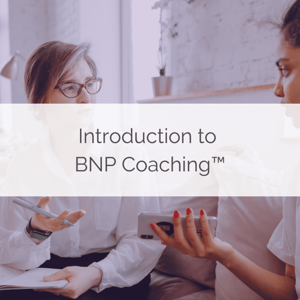 Introduction to BNP Programs™